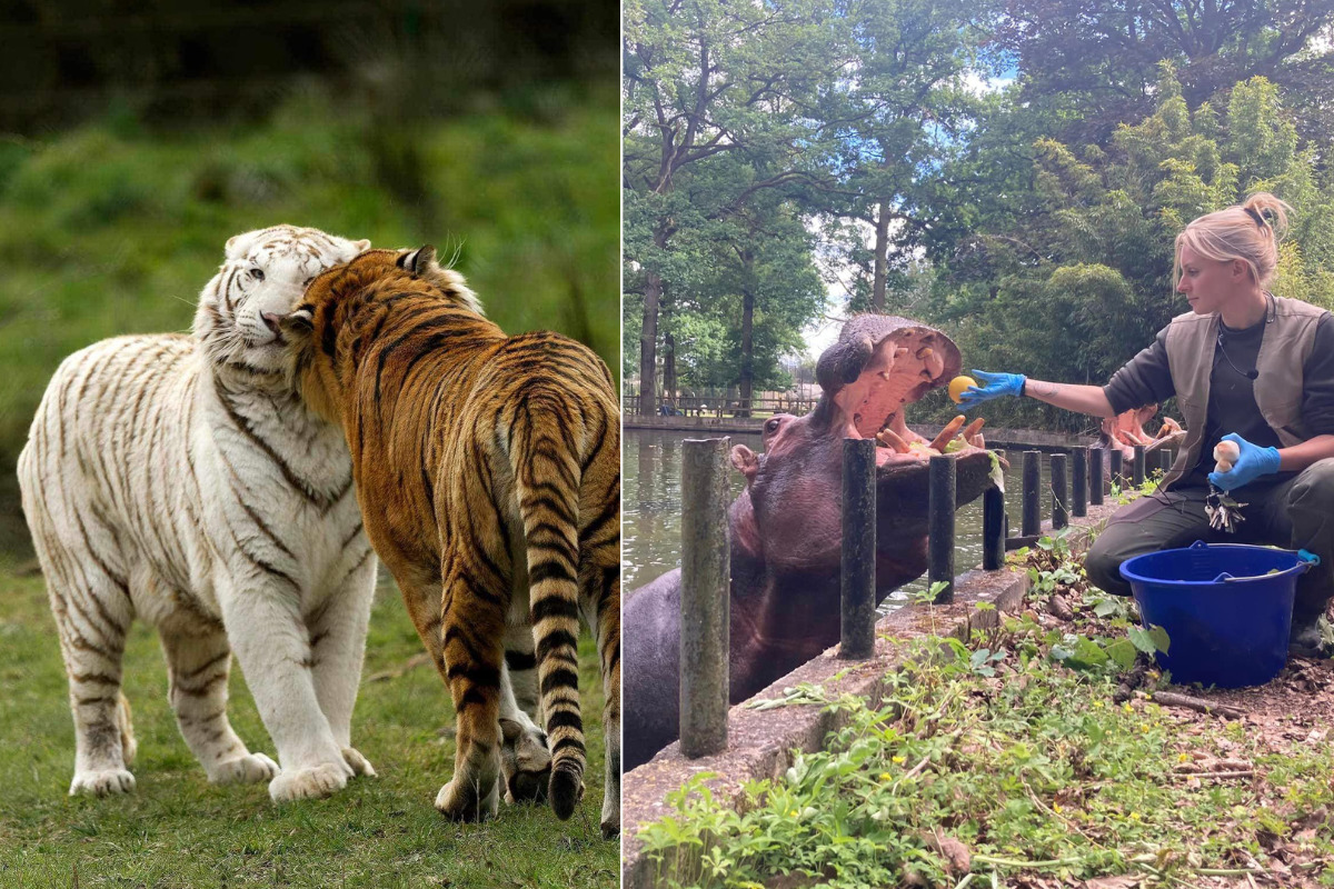 Zoo de Paris : découvrez les meilleurs zoos à Paris