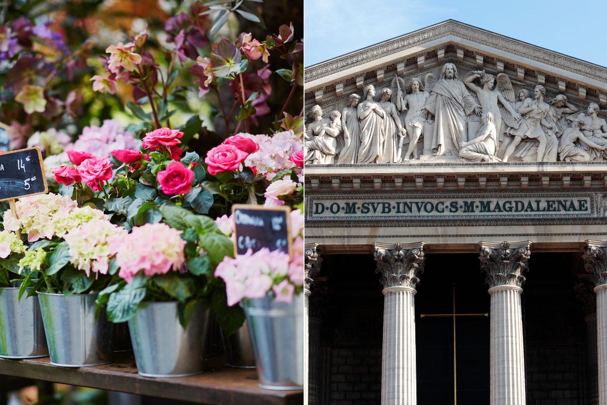 Marchés aux fleurs Paris : Découvrez les plus beaux de la capitale