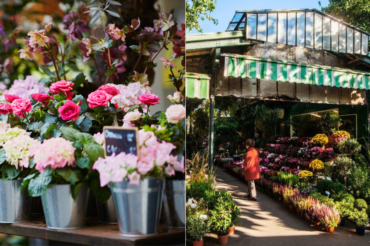 Spring in Paris: our favorite activities for this season