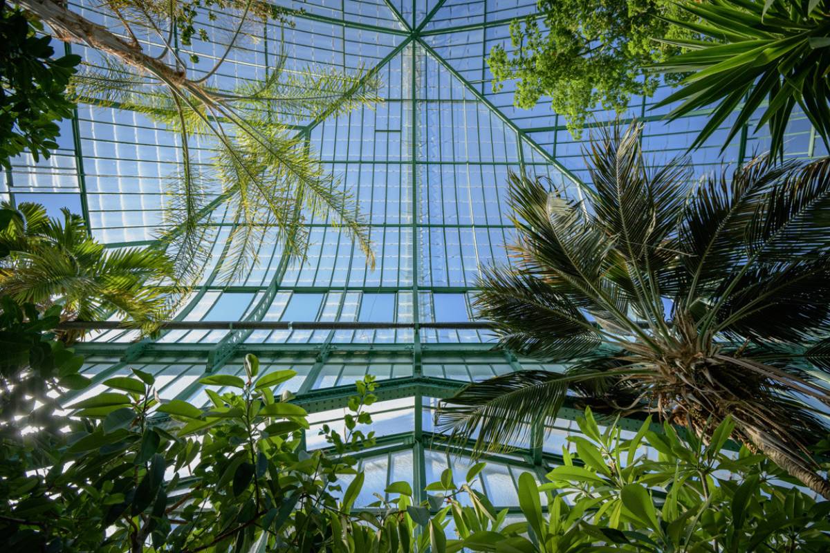Discover Paris's Most Beautiful Greenhouses For A Change Of Scenery