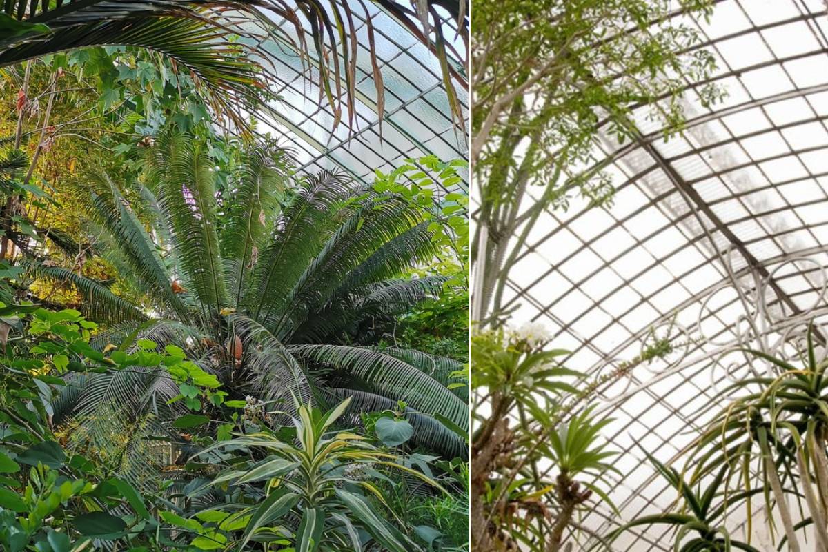 Discover Paris's Most Beautiful Greenhouses For A Change Of Scenery