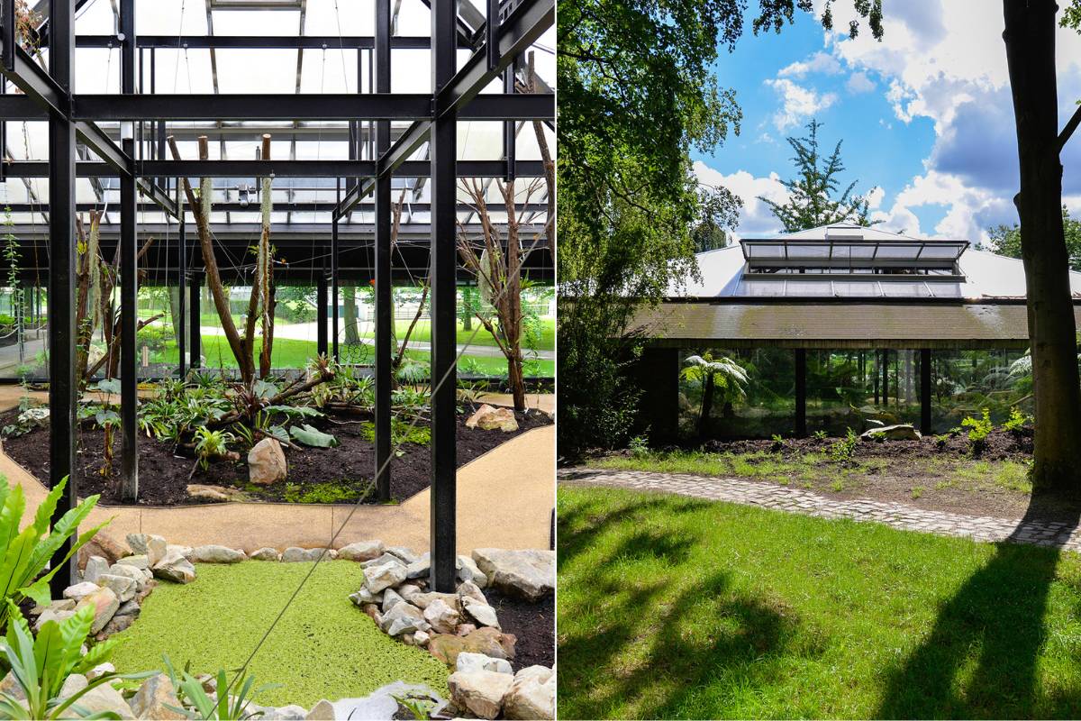 Discover Paris's Most Beautiful Greenhouses For A Change Of Scenery