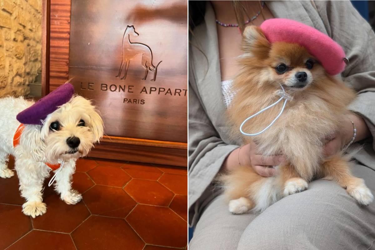 Ontdek het eerste café voor honden in Parijs