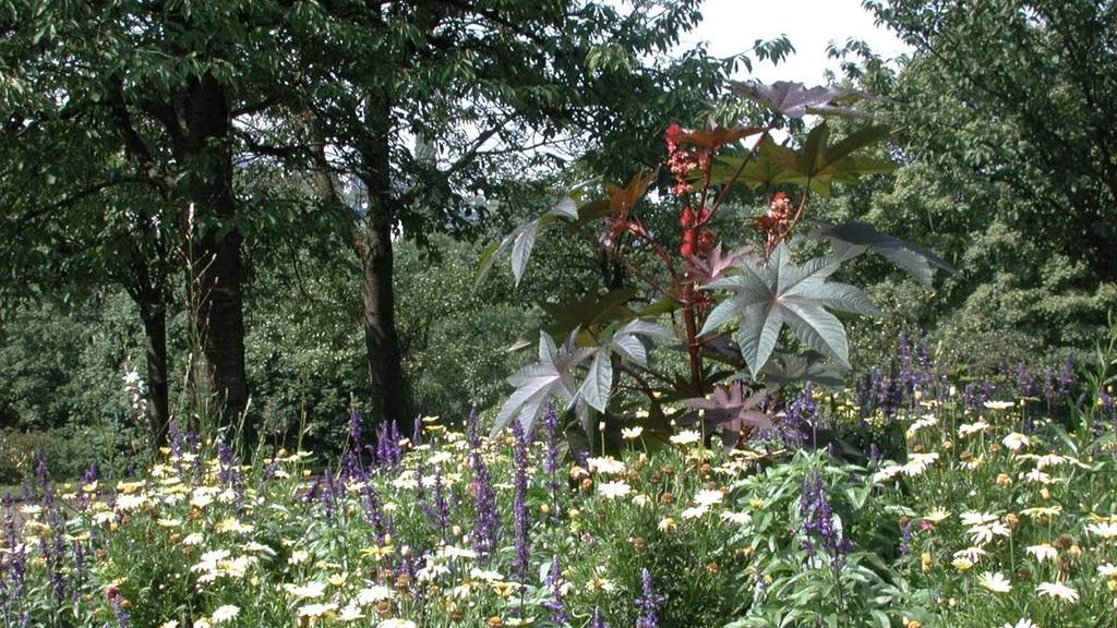 Covoiturage Paris : 5 escapades bucoliques à faire