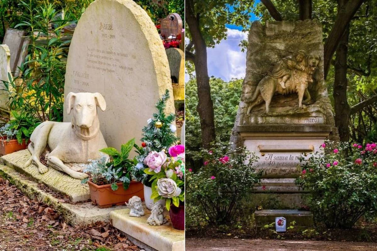 In Paris, this 100-year-old dog cemetery is the 1st in the world