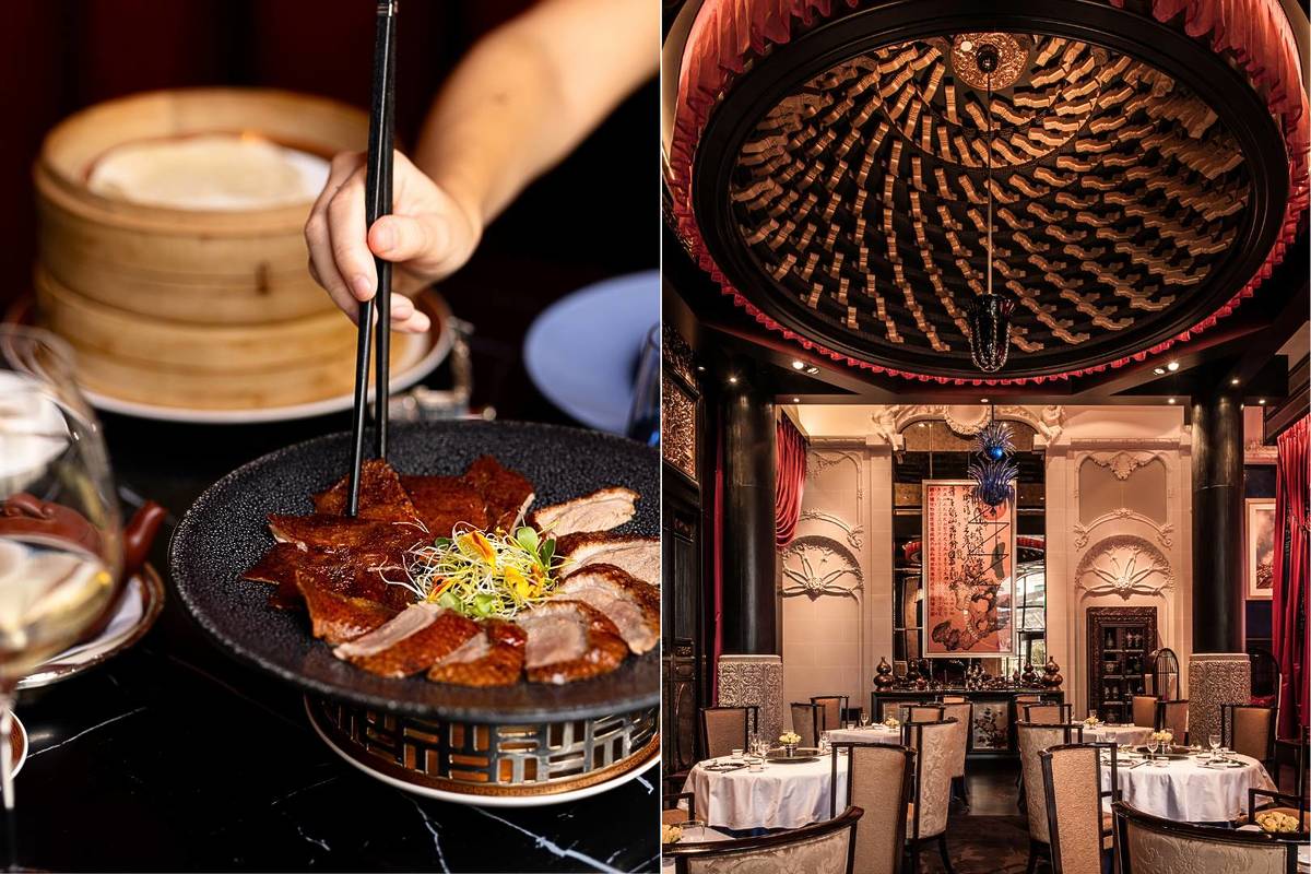 Sitemapcdatahttpsshopinf Inetcomrestaurant Chinois Halluinnull