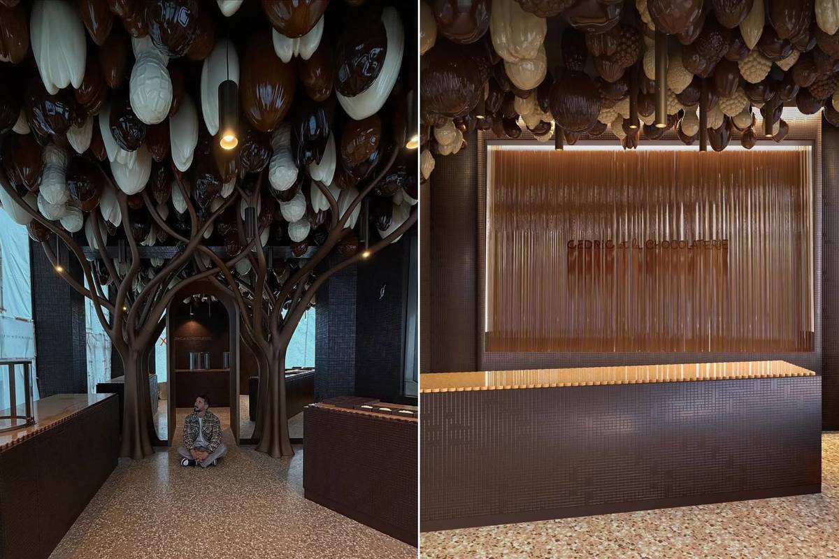 Pourquoi l’ouverture de “Cédric et la Chocolaterie”la nouvelle ...