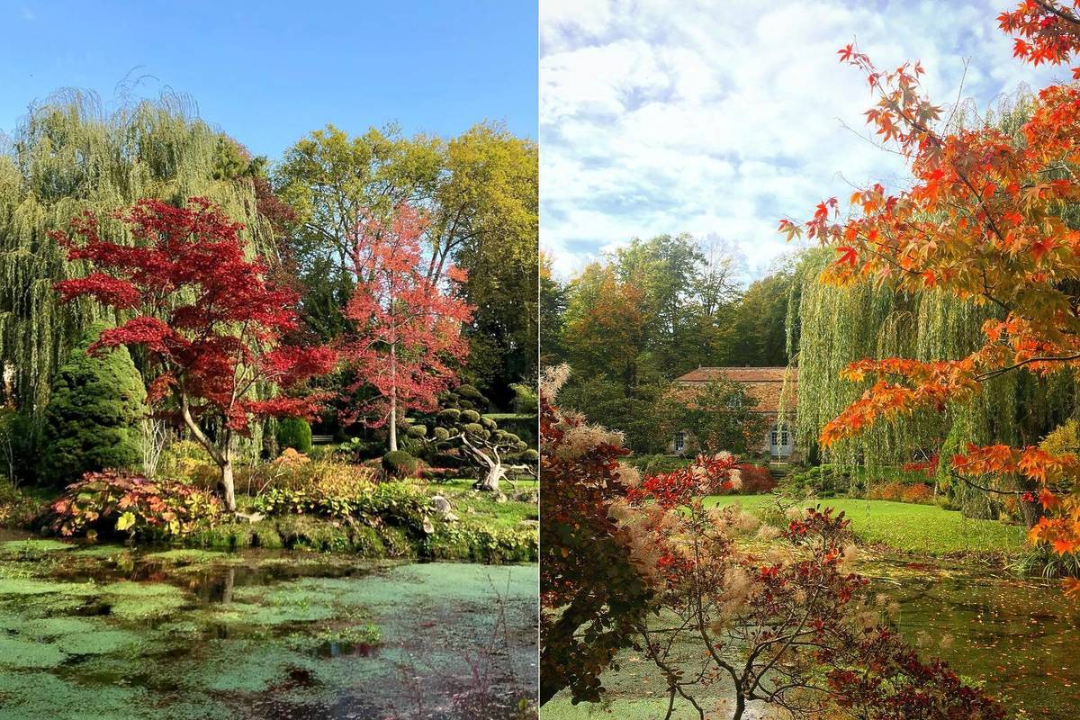 Hidden away in a magnificent estate surrounded by water, this magical ...