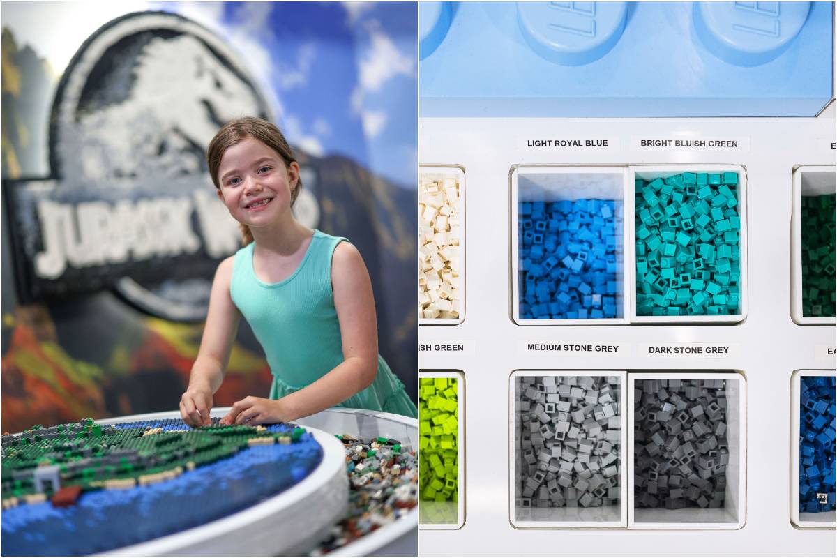 Steven Spielberg's Jurassic Park, with life-size dinosaurs entirely ...