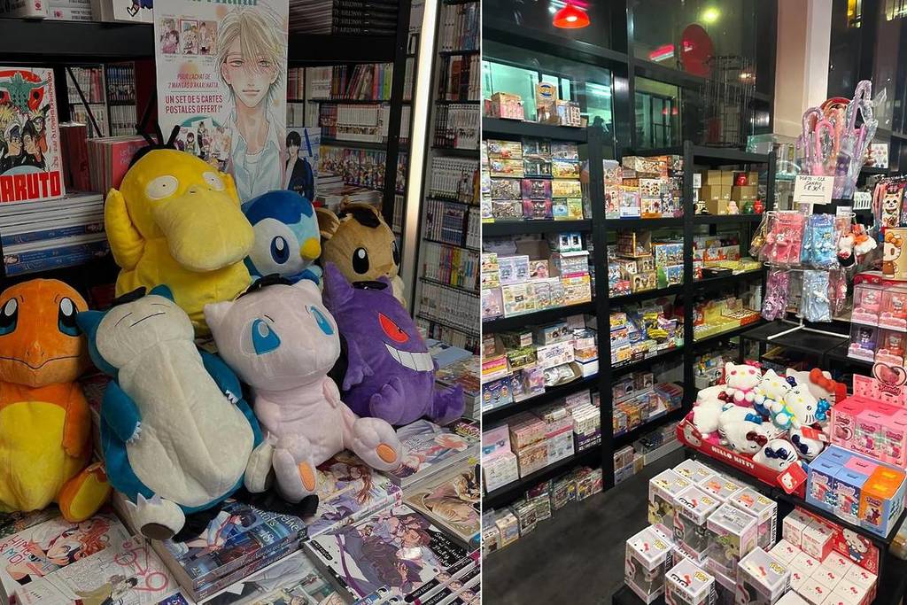 Not many people know it, but France's biggest manga library is hidden ...