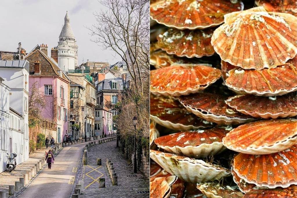 La traditionnelle fête de la coquille Saint-Jacques revient à ...