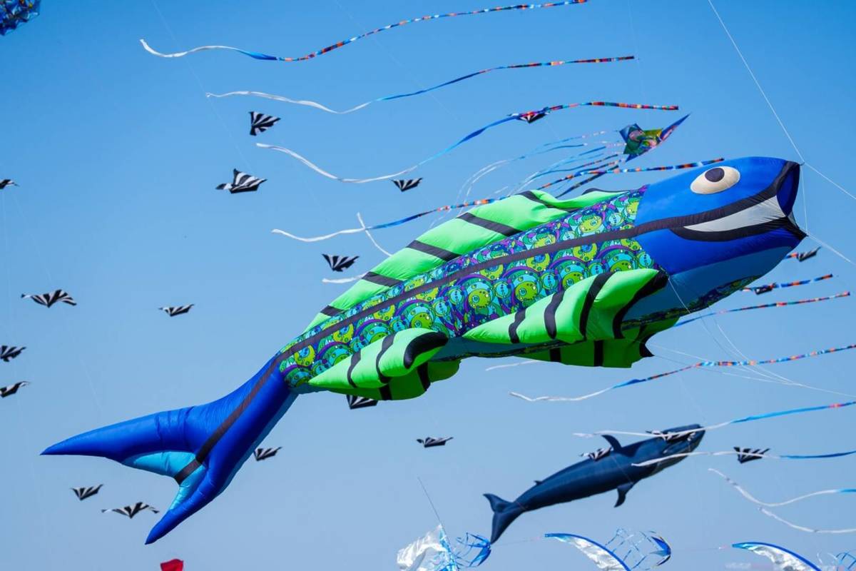 Just an hour from Paris, 50-meter-long giant kites will transform the ...