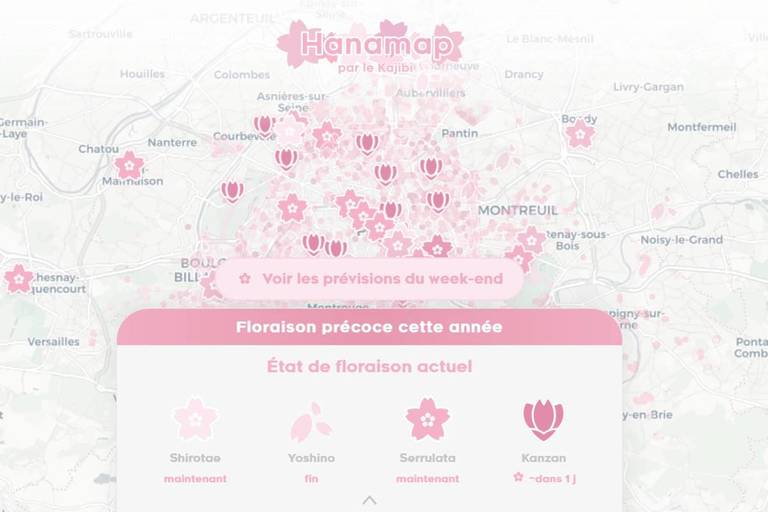 This interactive map shows you in real time where to see cherry ...