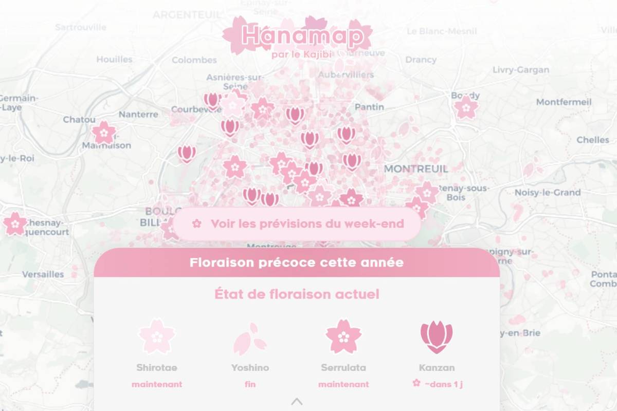 This interactive map shows you in real time where to see cherry ...