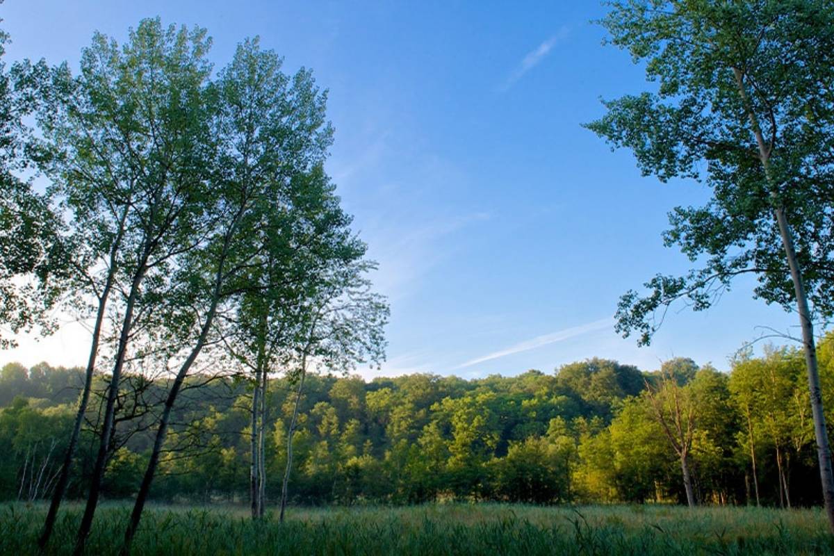 This little-known natural gem, less than an hour from Paris, is home to ...