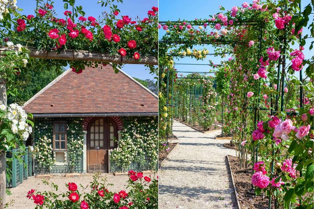 “Nearly 3,000 varieties of roses” The world’s oldest rose garden is ...