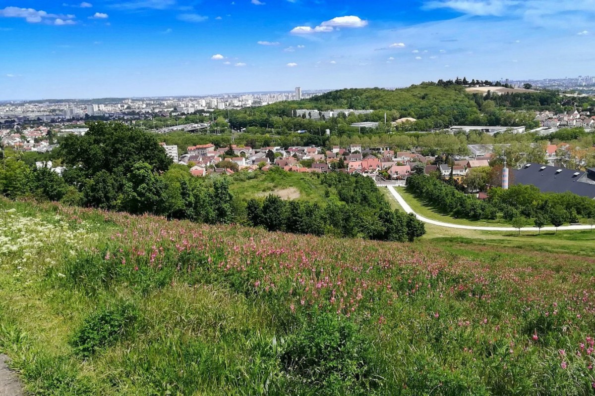 Situato a 1 ora da Parigi, questo magnifico parco gratuito di 17 ettari ...