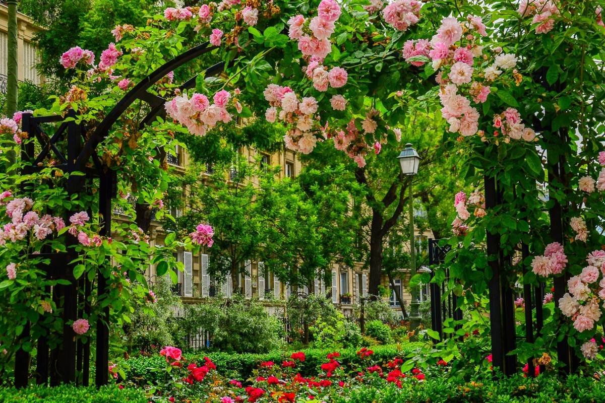 Promenade Pereire Paris : un petit paradis des roses