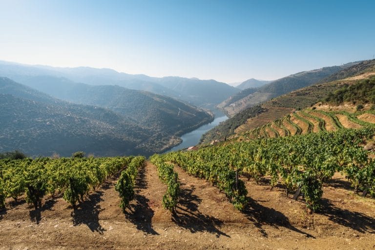 Rio Douro: 5 curiosidades que vais mesmo gostar de saber