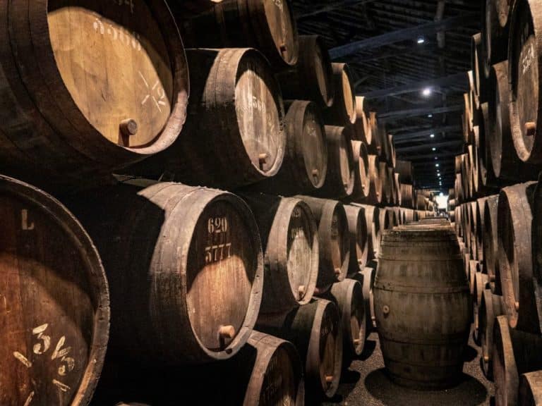 Port Wine Cellars: The Ones You Really Have To Visit