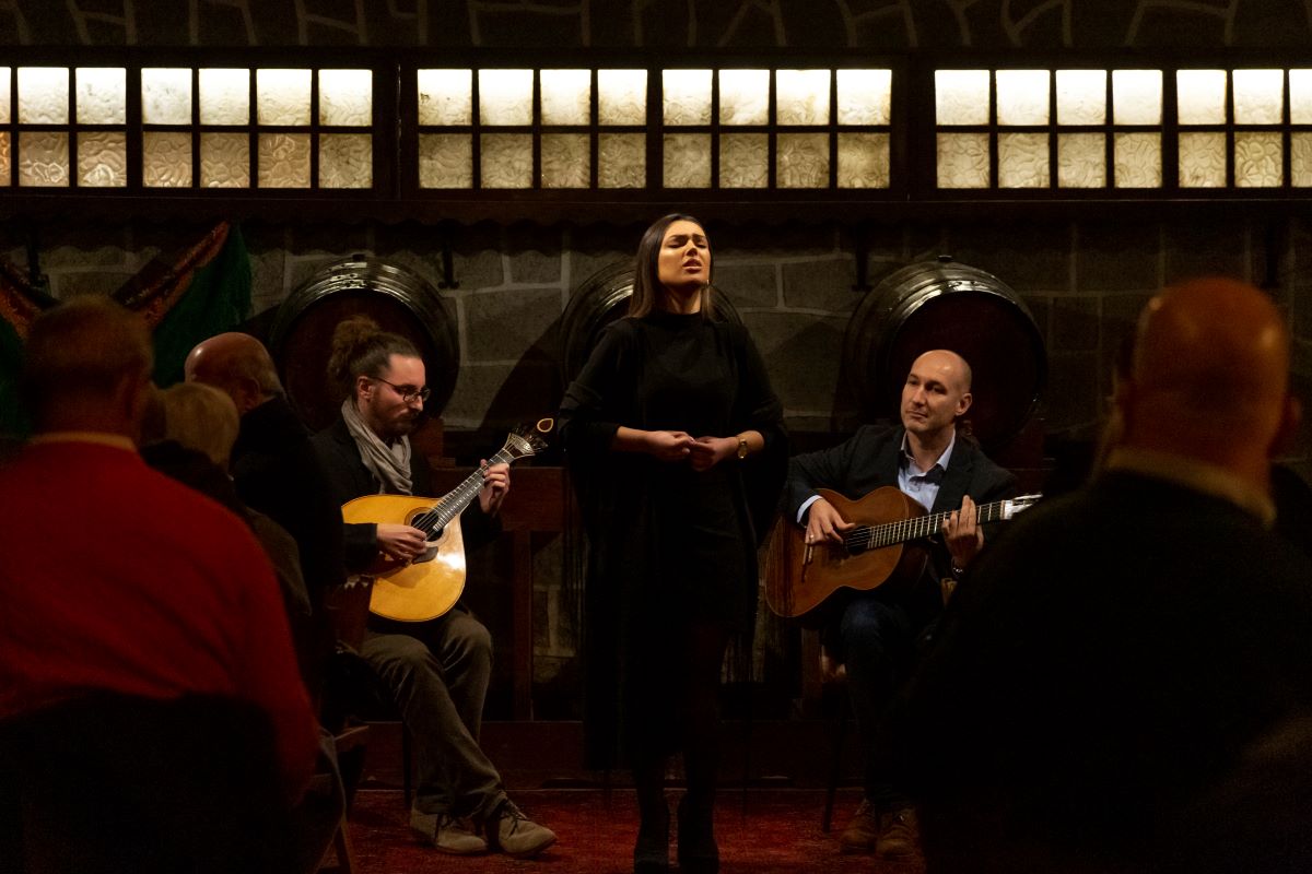 Forget Netflix: the Fado story they didn't tell you (and why it's World ...