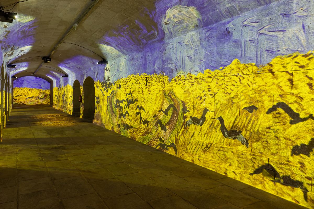 "Living Van Gogh": já podes visitar esta experiência imersiva no Porto
