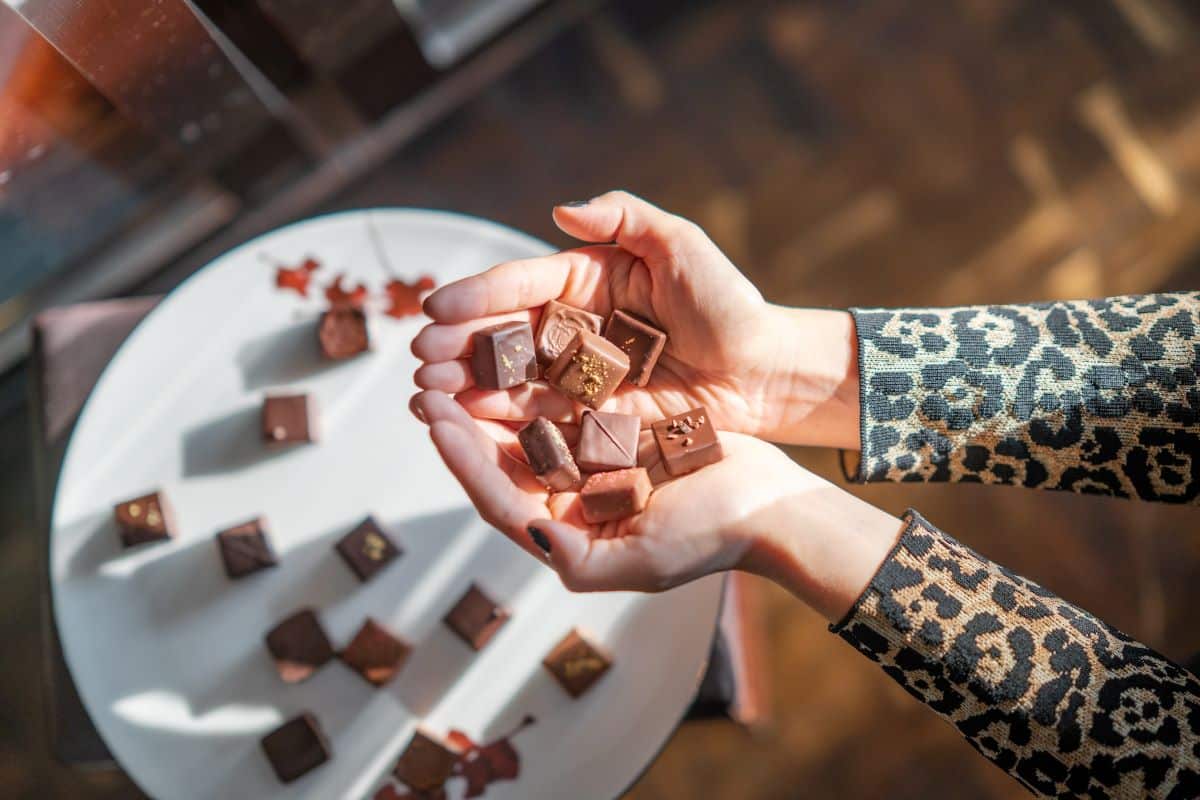 Chocolates: 8 spots to find the best in Porto