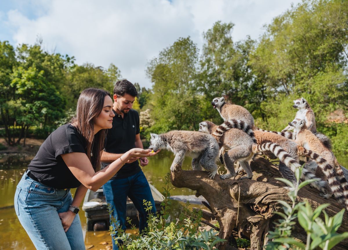 6 jardins zoológicos e parques para visitar perto do Porto