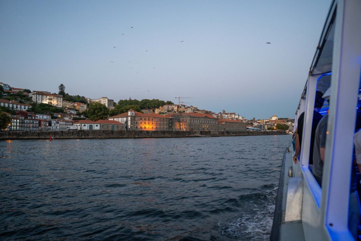 7 passeios de barco para desfrutar de uma experiência inesquecível no ...