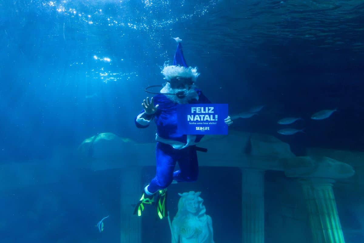 Santa Claus of the Oceans dives again at SEA LIFE Porto
