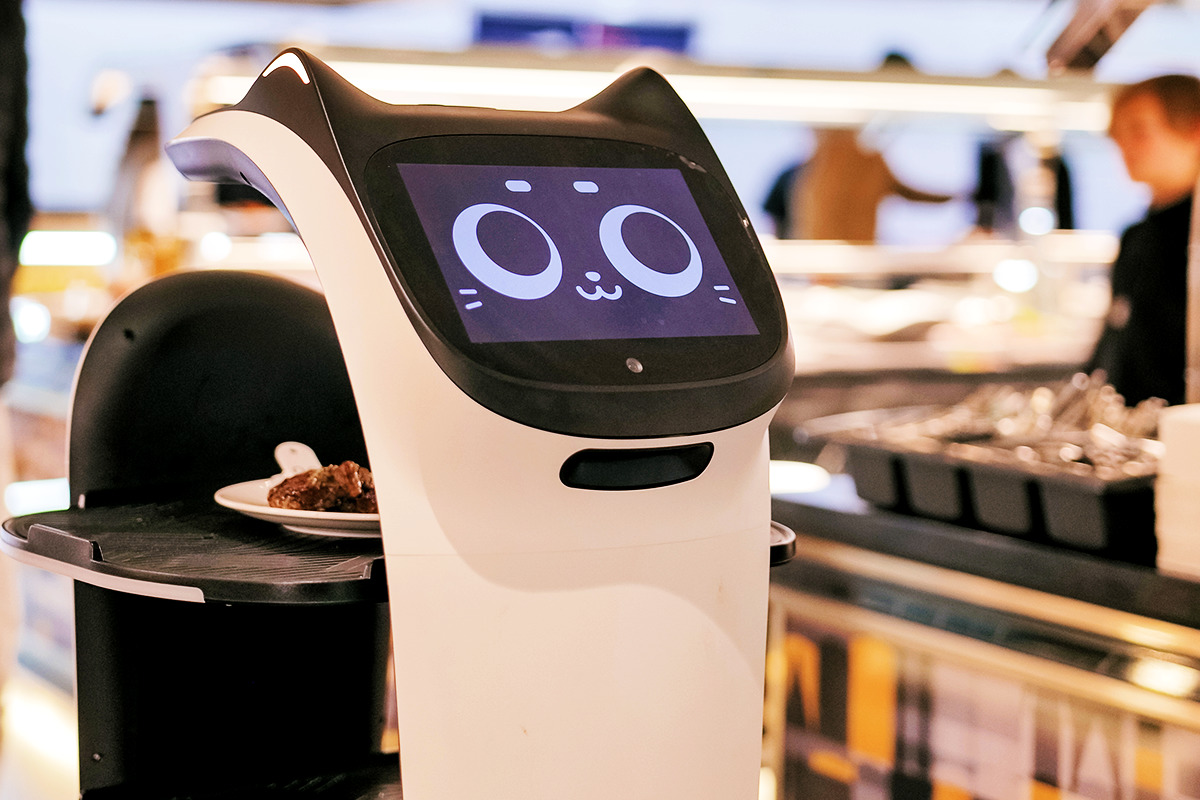 New Wok: o novo buffet do Porto com menus a partir de 11,95€