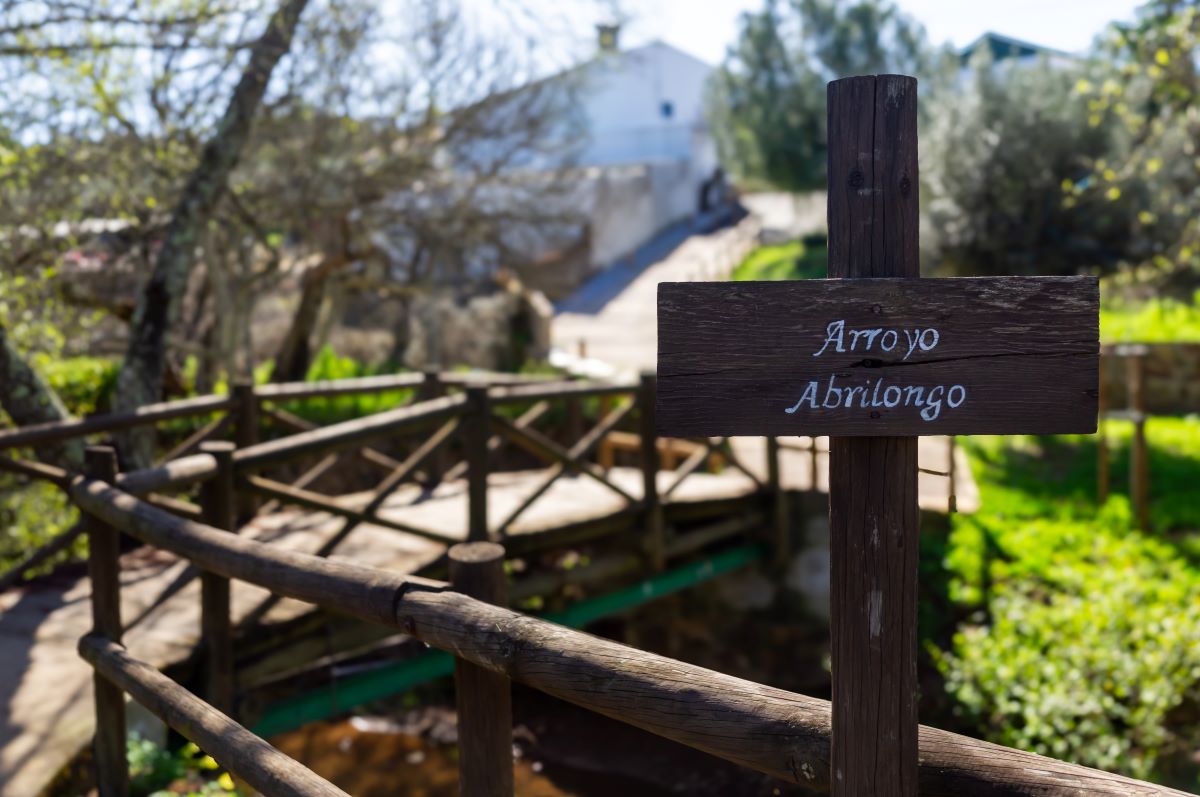Marco International Bridge: the smallest in the world