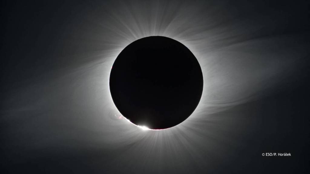 The 2026 Full Moon calendar has been revealed: it shows the dates of ...