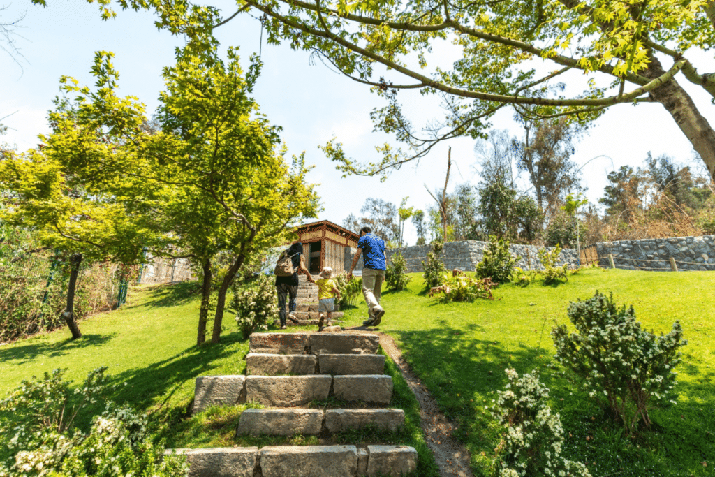 Conoce la naturaleza que habita en los parques de Santiago