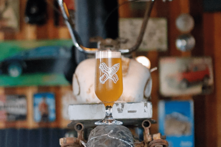 Bares para tomar cerveza en Santiago, conoce los imperdibles