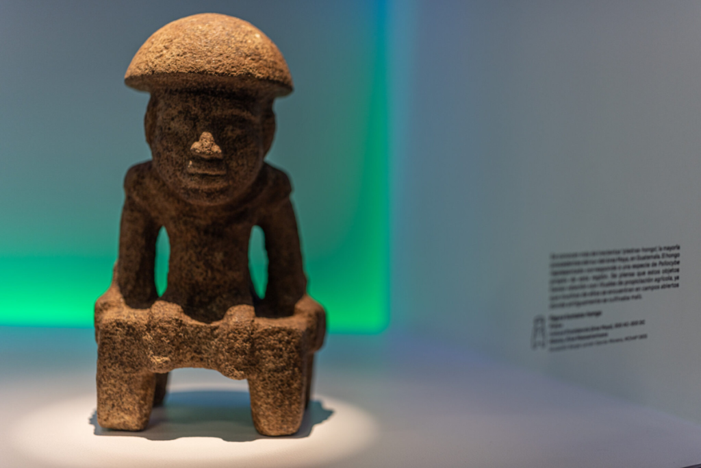Museo Arte Precolombino: Chamanismo visiones fuera del tiempo