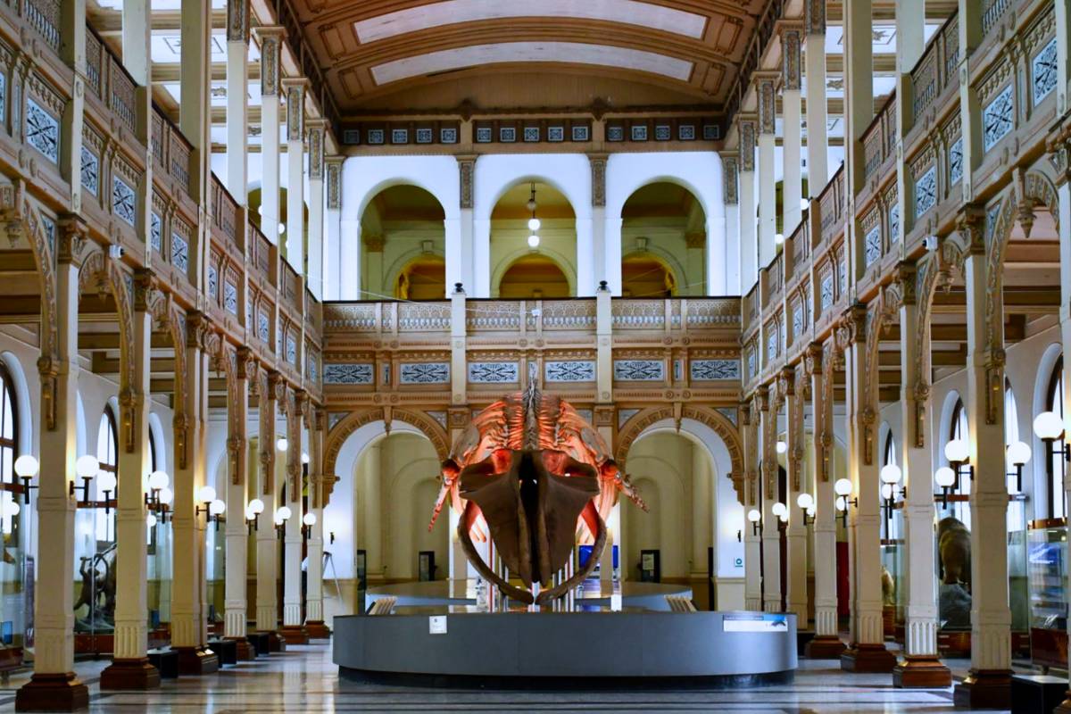 Panoramas este fin de semana en Santiago para gozar la capital