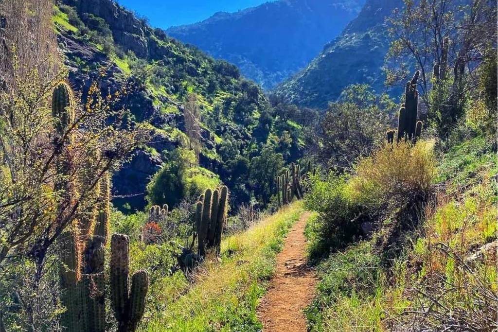 Senderos en Santiago, una guía para todo tipo de caminante