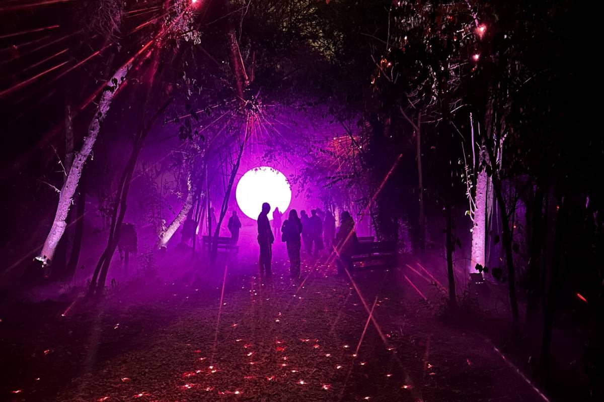 Light Cycles en Santiago