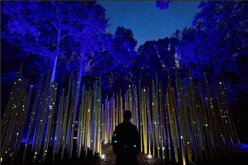 Light Cycles en Santiago