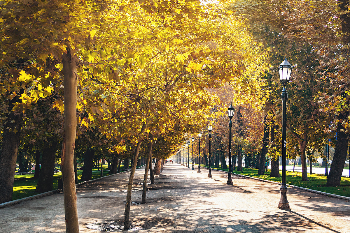 Parques imperdibles para disfrutar con la familia y amigos