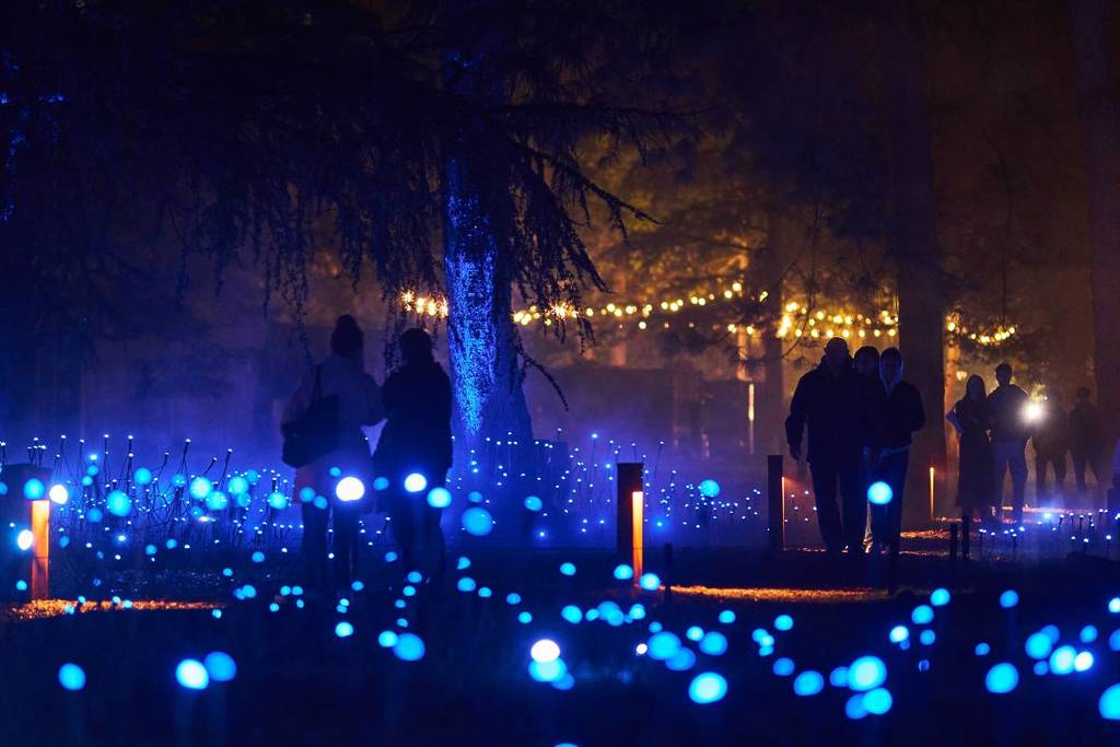 Light Cycles en Santiago