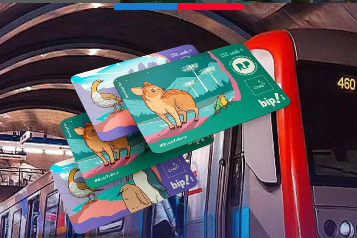 Nuevas tarjetas BIP