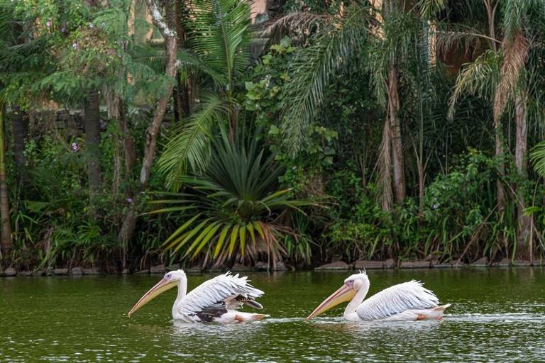 São Paulo Zoo: Leisure For Children And Adults!