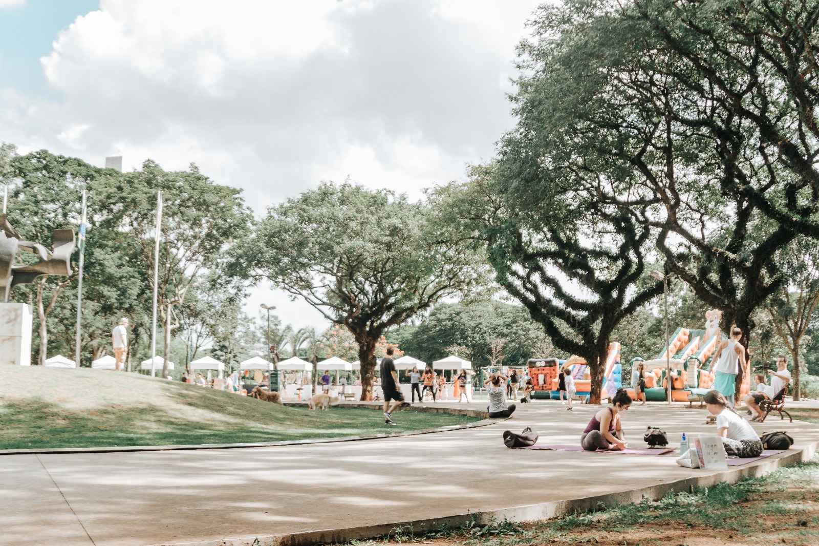 Casa de Alice Fair: author brands and attractions in December