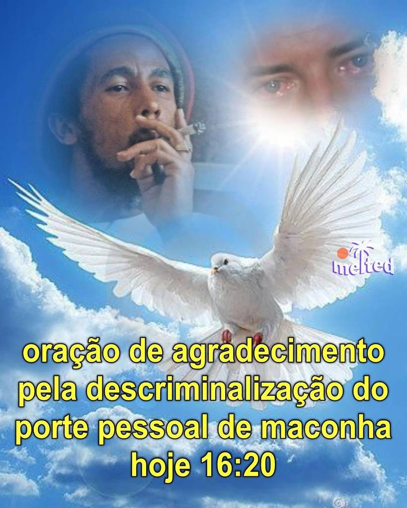 Descriminalização da maconha: memes e explicação sobre o tema!