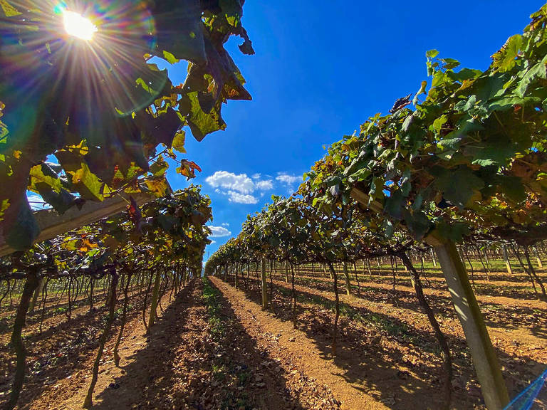 Interior de São Paulo: 25 cidades que merecem uma visita