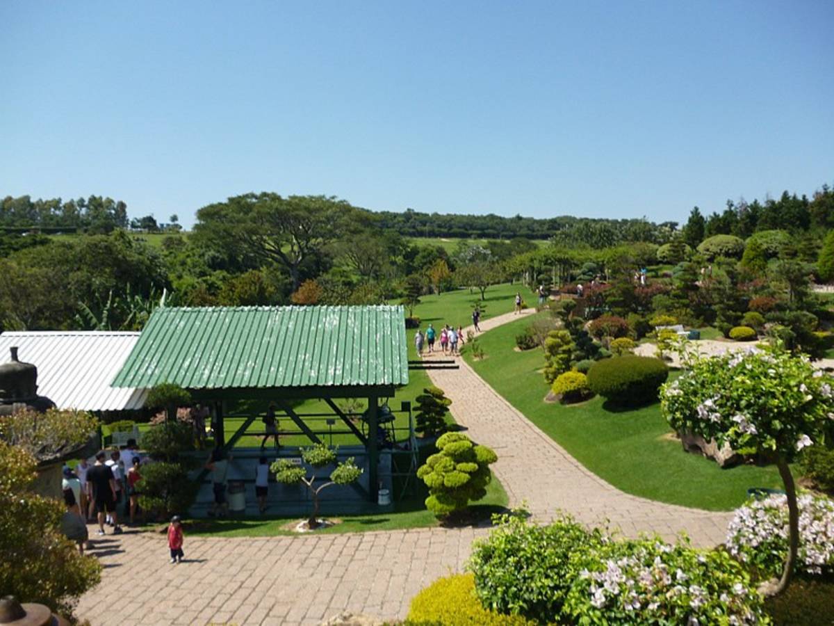 Maeda Park offers strawberry tasting for just R$40