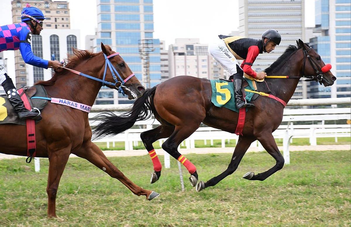 São Paulo's Jockey Club Offers Free Races And Even A Ballad!