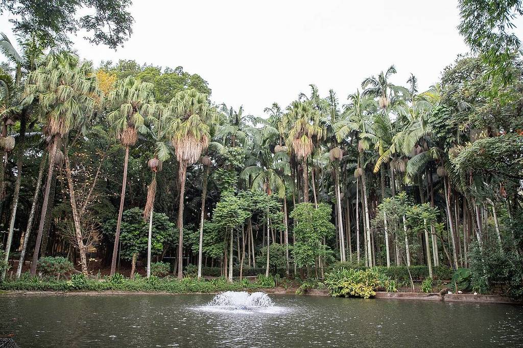 O que fazer na Linha 8-Diamante: guia de atrações em SP